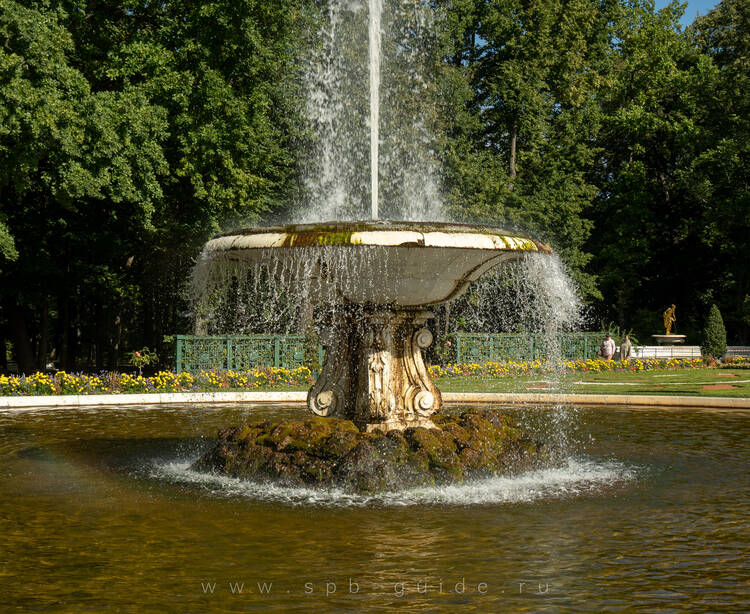 Фонтаны Чаши в Петергофе